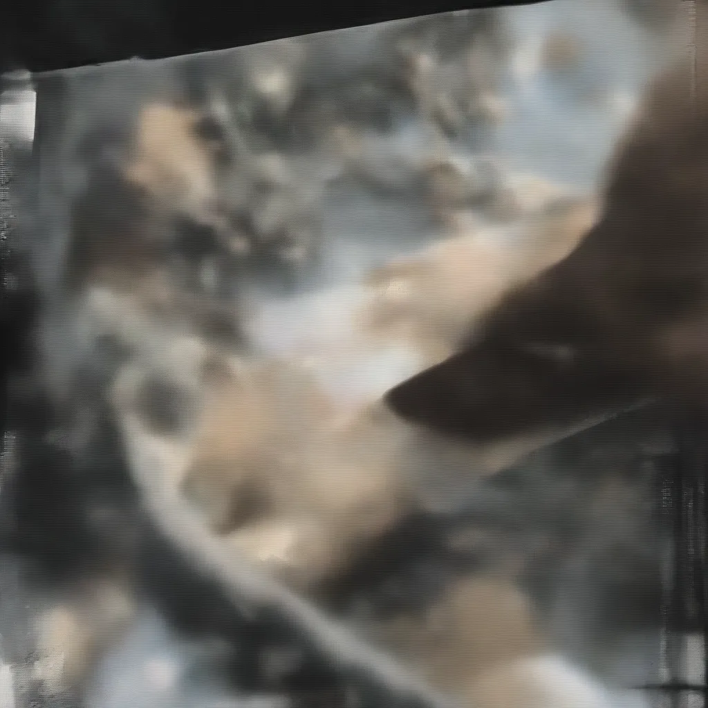 Exploring the Dietary Inflammatory Index Impact